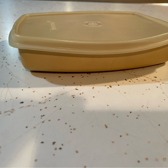 Tupperware | Kitchen | Vintage Tupperware Divided Container | Poshmark